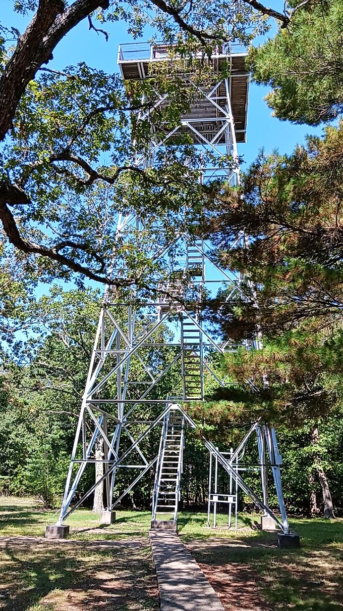 The fire tower stands tall, daring visitors to climb for panoramic rewards. It's Missouri's version of the Eiffel Tower, minus the French accents and crepes.