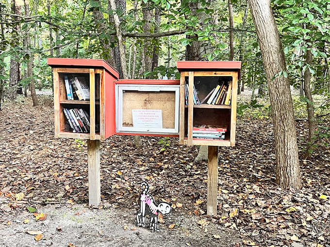 Literature meets wilderness in these charming trailside libraries. Nothing enhances a nature walk like stumbling upon unexpected books.