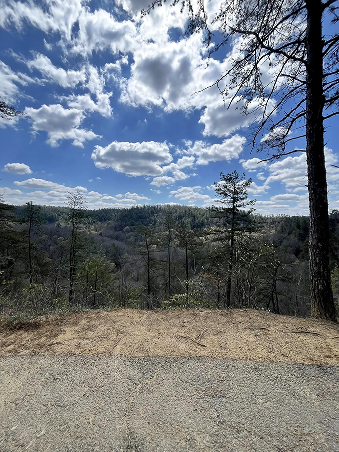 Mother Nature's panoramic theater doesn't require tickets, just comfortable shoes. This vista delivers more drama than all seven seasons of "Mad Men."