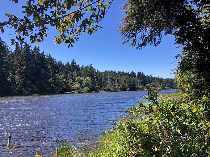 Coffenbury Lake's glassy surface reflects the surrounding forest, creating a double dose of serenity that no meditation app could ever match.