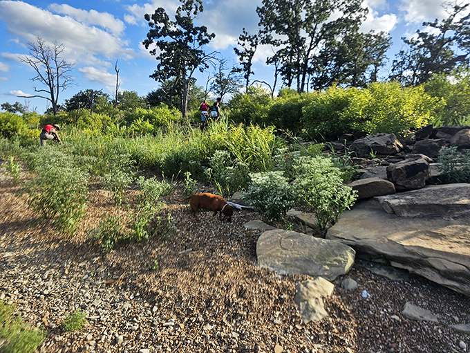 Even four-legged hikers find their zen here. The park's trails welcome adventurers of all species for wilderness therapy sessions.