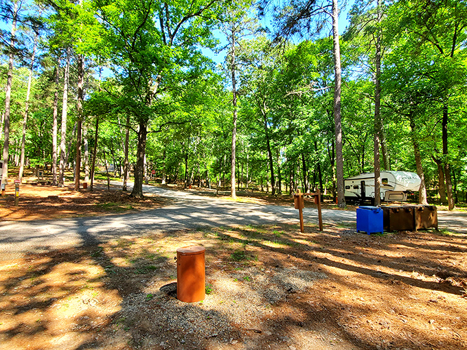 Camping sites nestled among towering pines – where social distancing was cool long before it was mandatory.