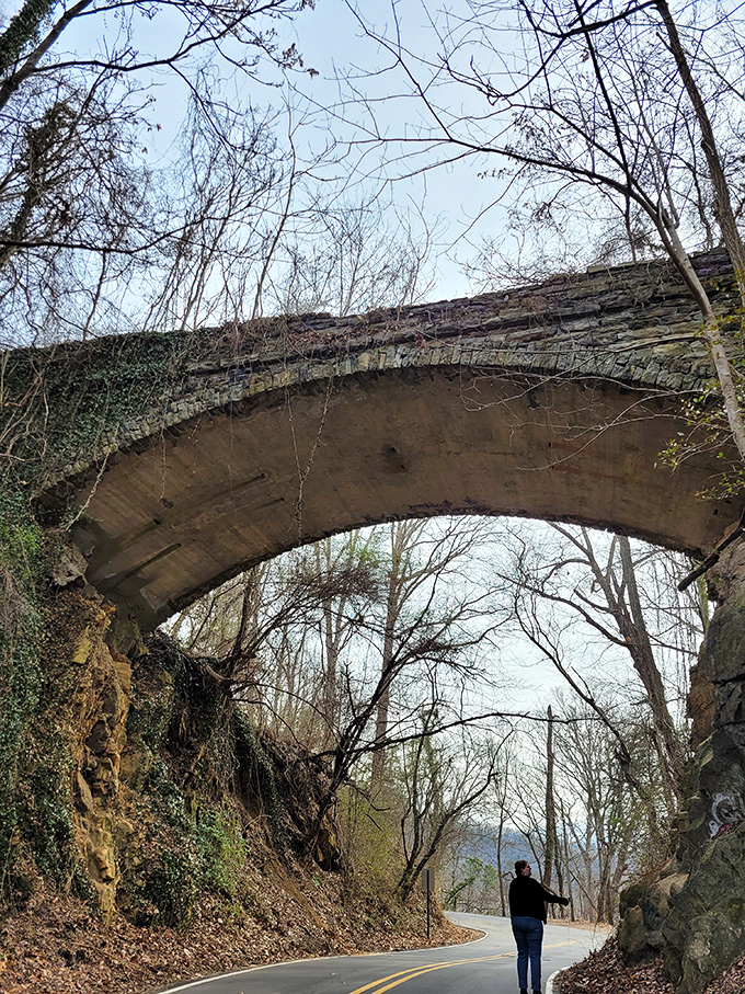 Summer transforms Helen's Bridge into a green cathedral. The same spot that gives you chills in October looks downright inviting in June.