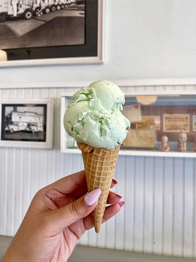 That mint green scoop isn't just photogenic—it's a pistachio masterpiece that makes artificial green ice cream seem like a practical joke someone's playing on your taste buds.