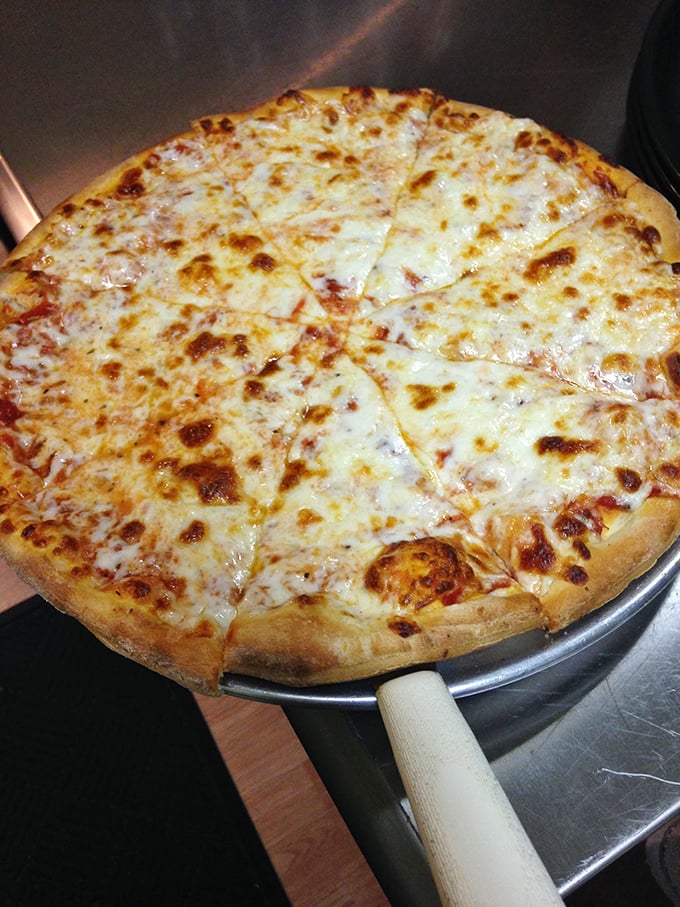 A cheese pizza so perfectly golden and bubbling, it makes you understand why people fight about pizza with such religious fervor.