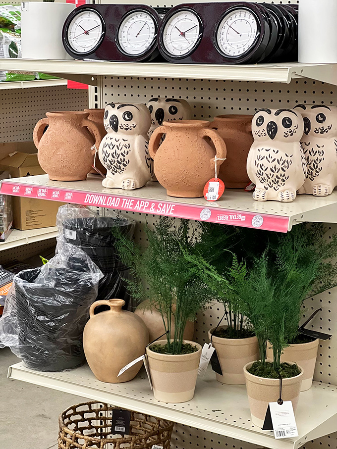 Ceramic owl squad meeting or stylish home d&eacute;cor? Either way, these quirky finds add personality to any shelf at prices that won't ruffle feathers.