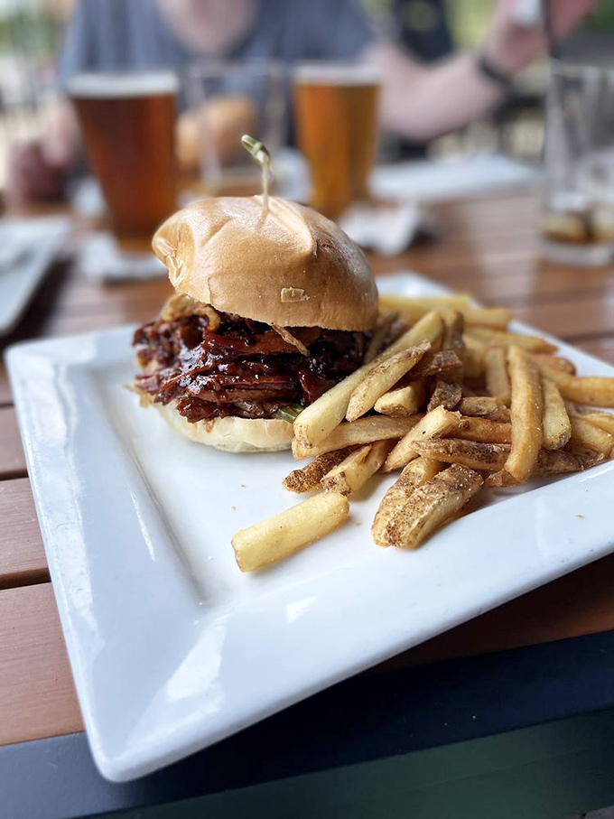 A pulled pork sandwich that doesn't need to shout about its credentials. The meat speaks volumes while the fries stand at attention.