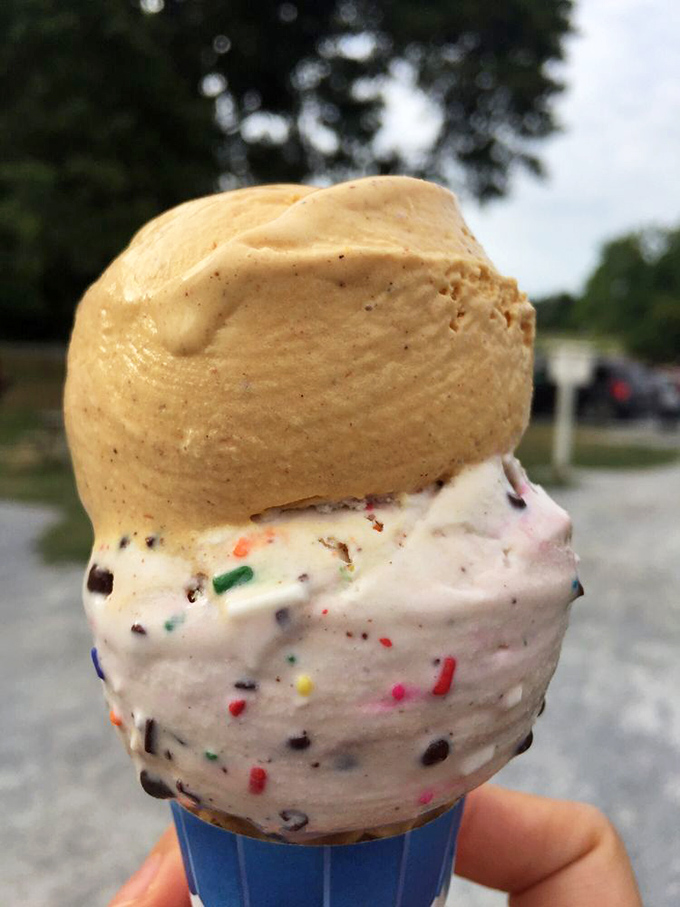 The double-decker delight of pumpkin and birthday cake ice cream&mdash;proof that sometimes the best relationships are between flavors that have no business being together.