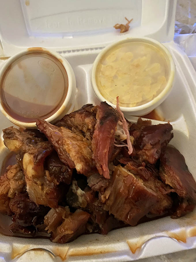 Rib tips: where texture meets flavor in a meat lottery you always win. That sauce-to-meat ratio is what mathematicians call "the golden ratio."