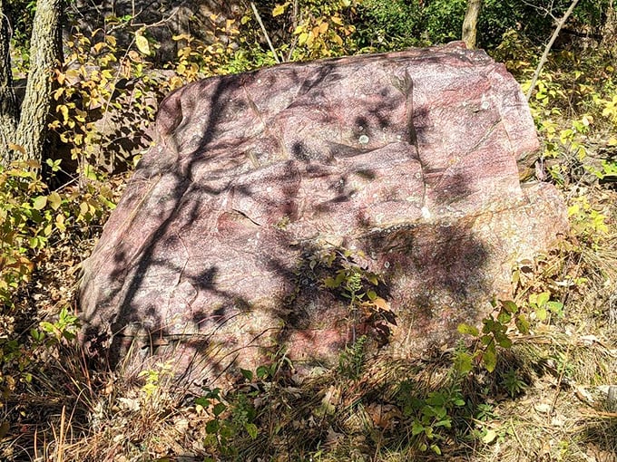 Pink quartzite boulders bask in dappled sunlight, looking like they've been airbrushed by nature's most talented artist. No filter needed here.