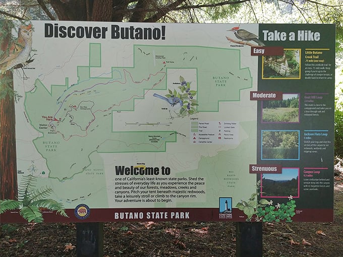 The treasure map to Butano's hidden wonders. Like a menu at a five-star restaurant, it's hard to choose just one trail!