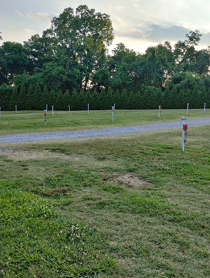 Speaker posts stand like sentinels across the grounds, silent witnesses to decades of first dates, family outings, and summer traditions.