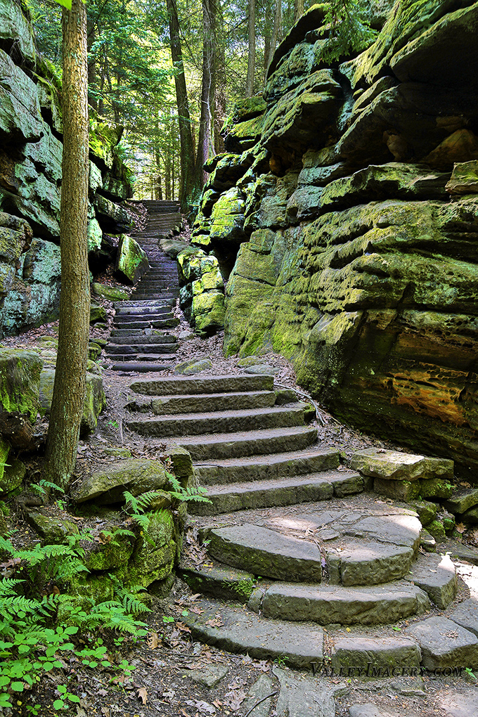 Stairway to heaven? Close enough. These moss-kissed stone steps lead through a portal where stress dissolves faster than an aspirin.