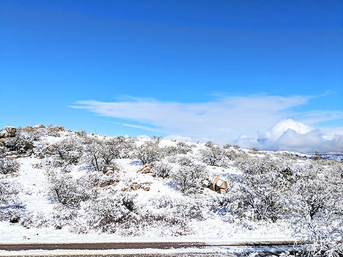 Winter transforms Oracle into a desert snow globe. This rare dusting of white turns the familiar landscape into something that belongs on a holiday card.