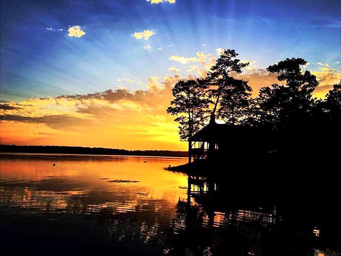 Nature puts on a sunset show that would make Broadway jealous. This lakeside silhouette proves Mississippi knows how to end a day with dramatic flair.