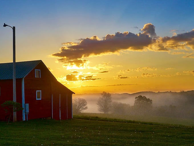 Cashton Park welcomes visitors with sturdy stone pillars and a tree silhouette sign – no flashy digital billboards needed in a town that values permanence.