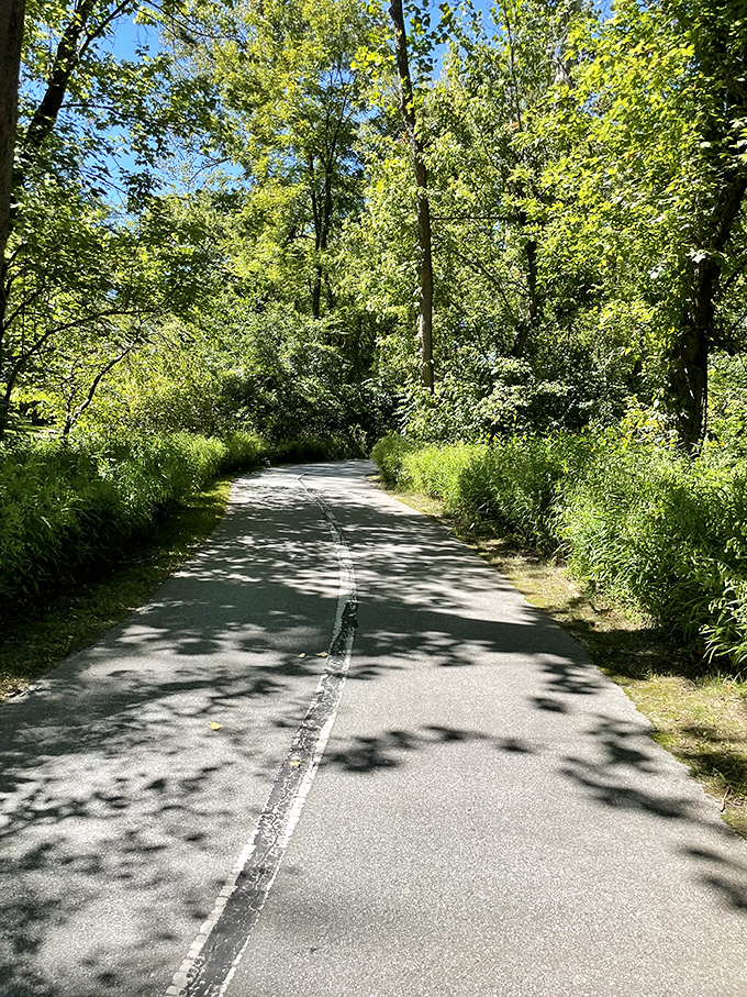 Dappled sunlight creates a natural spotlight on the trail approaching the bridge, as if nature itself is setting the stage for your ghostly encounter.