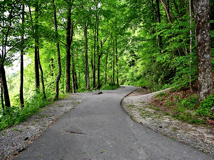 The approach trail winds through a cathedral of trees. Cathedral is the right word&mdash;you'll find yourself speaking in hushed tones naturally.