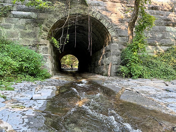Stone tunnels like this one honeycomb the park, remnants of the area's industrial heritage now serving as portals to Maryland's fascinating past.