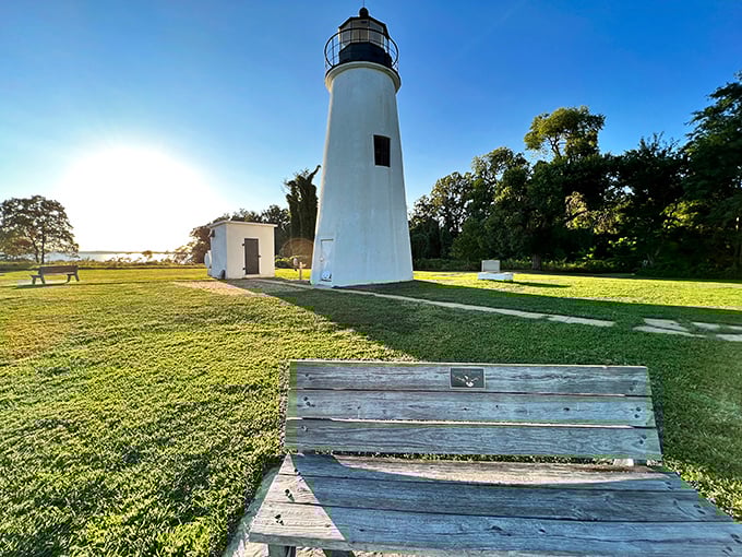 Turkey Point Lighthouse stands like a stalwart sentinel against time itself. This 1833 beacon still guides visitors to some of the bay's most spectacular views.
