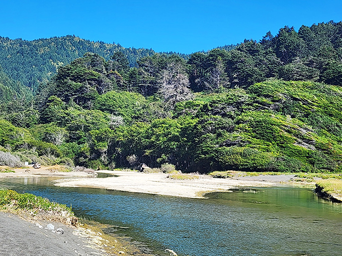 Usal Creek's gentle meander through emerald landscapes offers the perfect setting for contemplative wading or impromptu rock-skipping championships.