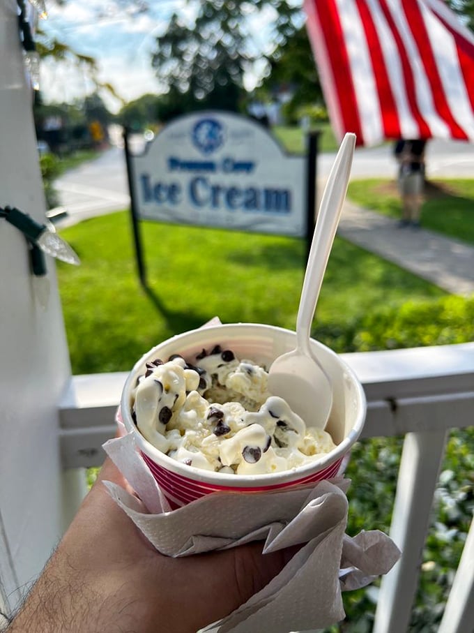 Vanilla chocolate chip with a view! This isn't just ice cream; it's front-porch therapy with bits of chocolate that snap perfectly between your teeth.