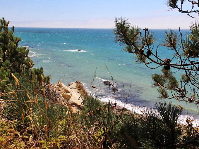 The kind of blue that makes you question why you ever waste time indoors. On clear days, this coastline view rivals anything in those expensive travel magazines.