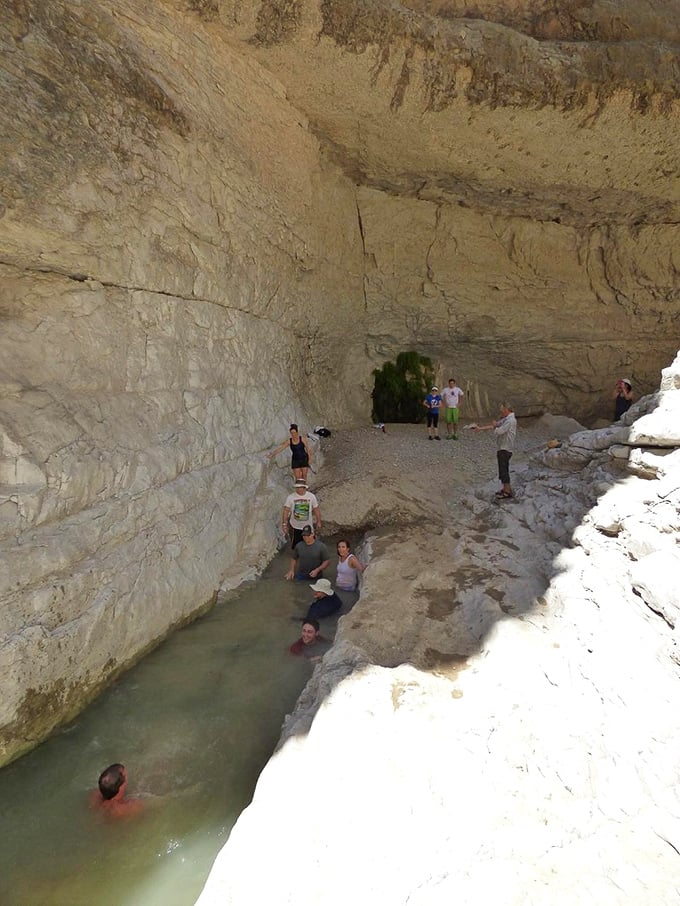 Cooling off where dinosaurs once roamed. This natural swimming hole offers refreshment with a side of geological wonder.