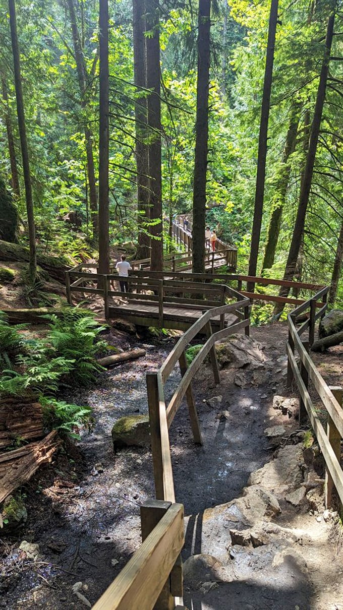 Wooden walkways zigzag through emerald splendor, proving Washington trail builders are the unsung architects of our outdoor happiness.