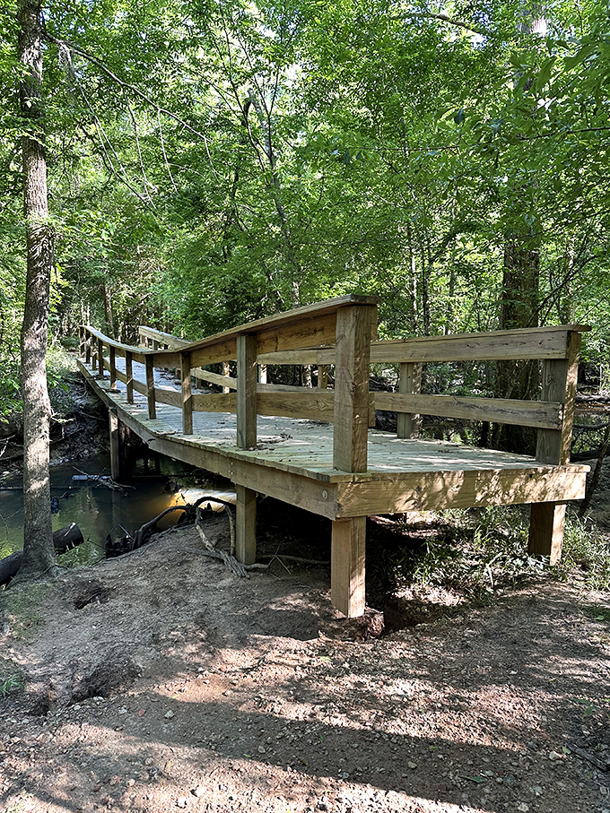Rustic construction meets Mother Nature in this practical piece of trail engineering. Less "Bridge Over Troubled Water" and more "Bridge Over Occasionally Damp Ground."
