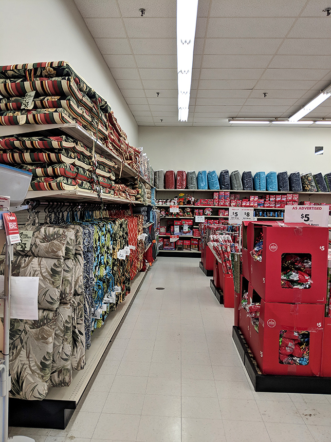 An aisle of possibilities where beach-themed cushions in December somehow make perfect sense in the delightfully jumbled Big Lots universe.