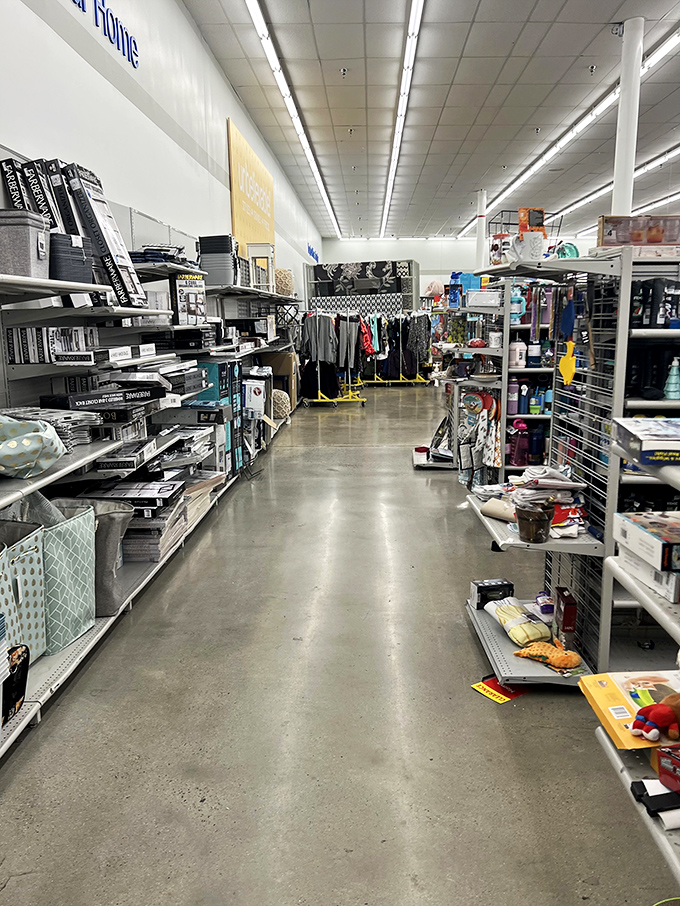 Where books meet bargains. Wandering these aisles feels like being in a treasure hunt gameshow where everyone wins.