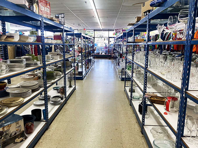 A canyon of carefully organized dishware stretches into the distance. One person's castoffs become another's complete dinner service for twelve.