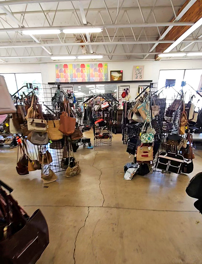 Handbag heaven! These purses and totes have seen more of life than most travel influencers. Each one has stories tucked in its pockets.