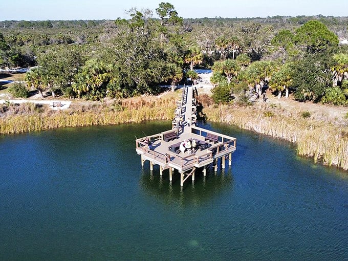This wooden observation deck isn't just a platform&mdash;it's nature's classroom where curious minds gather to decode Florida's wetland mysteries.