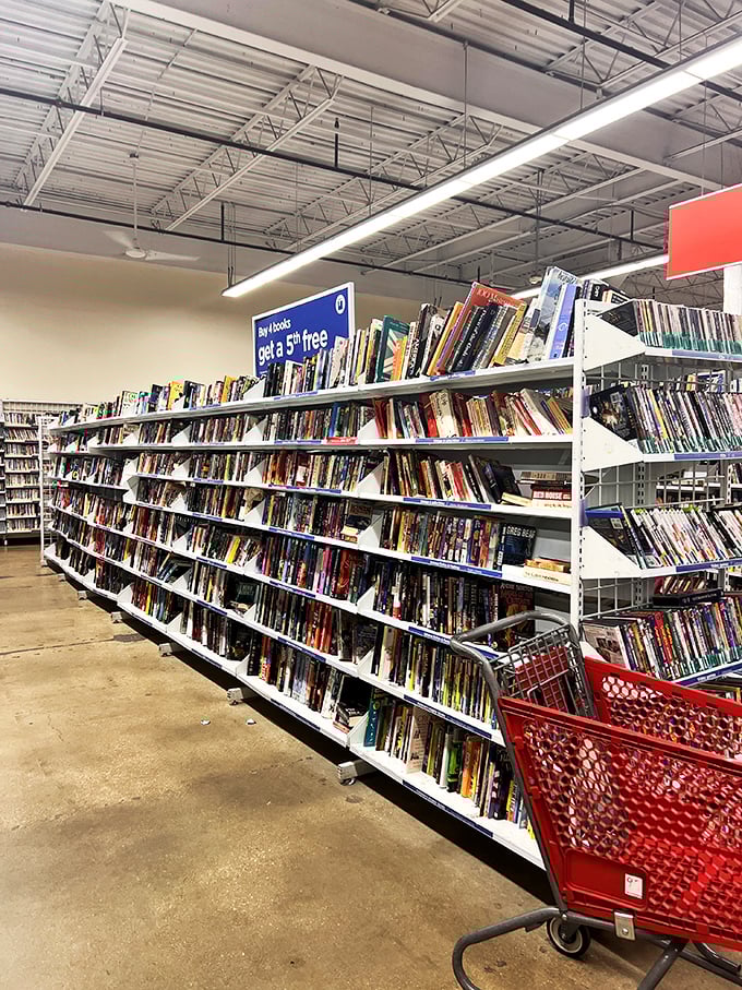 Bibliophiles, prepare to lose track of time! The book section rivals small libraries, with a "buy 4, get a 5th free" deal that's dangerous for your bookshelf.