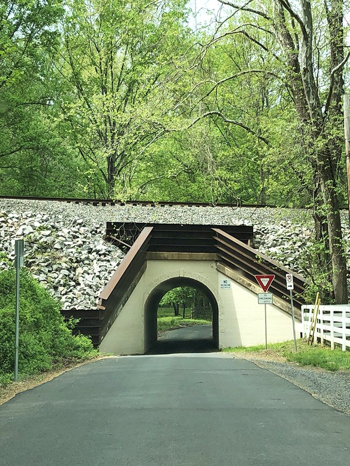 "Yield to oncoming traffic"&mdash;and perhaps to the occasional spectral rabbit-man? The warning signs take on new meaning here.