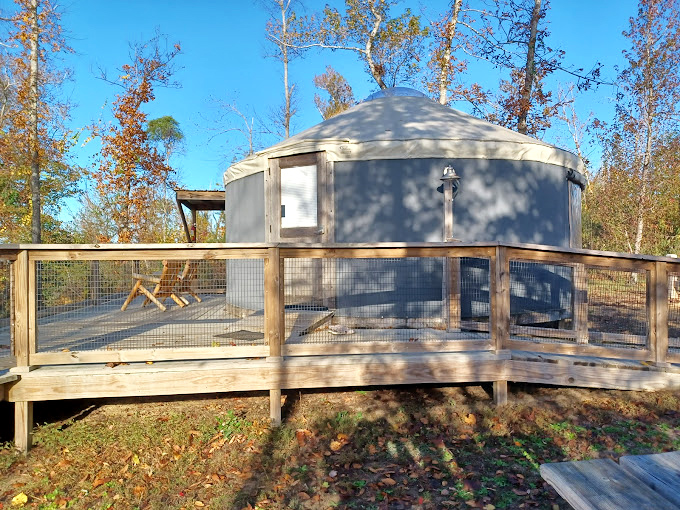 Modern comfort meets wilderness escape. Torreya's yurt accommodations prove you don't need to sacrifice comfort to feel immersed in nature's embrace.