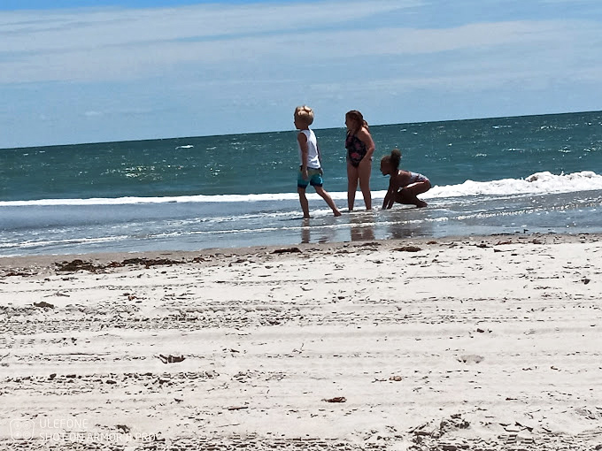 Children discovering the ocean's edge &ndash; where every wave is a surprise and every footprint a temporary signature.