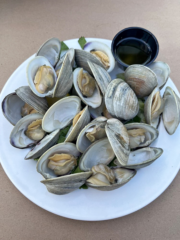 These aren't just clams&mdash;they're little oceanic treasures, steamed to perfection and ready to transport you straight to the Delaware shore.