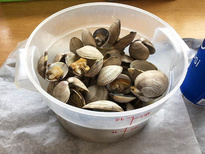 These aren't just clams&mdash;they're ocean jewels waiting for their butter bath. Fresh, plump, and ready to transport you straight to seafood nirvana. 