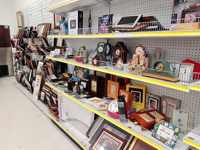 Time literally stands still in the clock section, a nostalgic collection that would make even the White Rabbit pause his hurry.