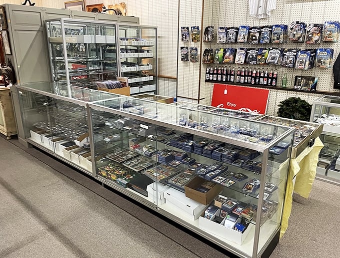 Display cases: where collectibles go to show off. This glass kingdom houses everything from baseball cards to miniature treasures worth maximum nostalgia.