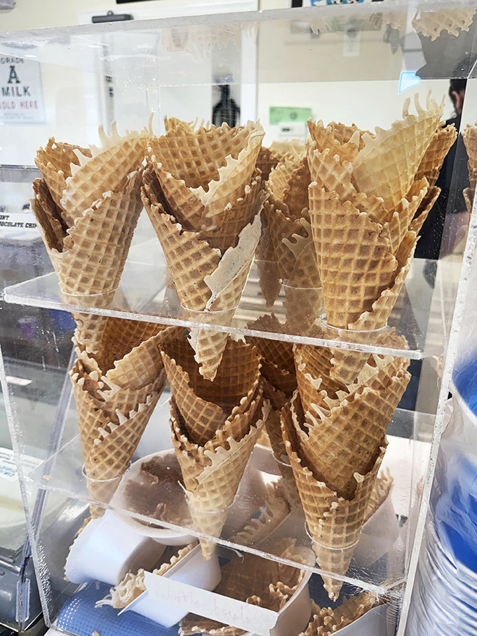The waffle cone lineup &ndash; soldiers of sweetness standing at attention, waiting for their mission to cradle scoops of creamy perfection.