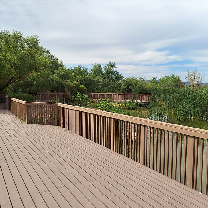 Nature's boardwalk rivals any casino promenade. This wooden deck offers views that no amount of neon could ever replicate.