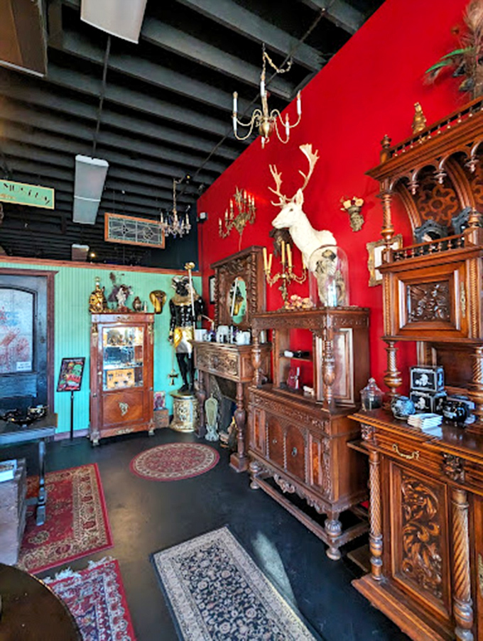 The albino deer reigns majestically over an empire of wooden cabinets and curios, like a ghostly forest spirit guarding forgotten treasures. 