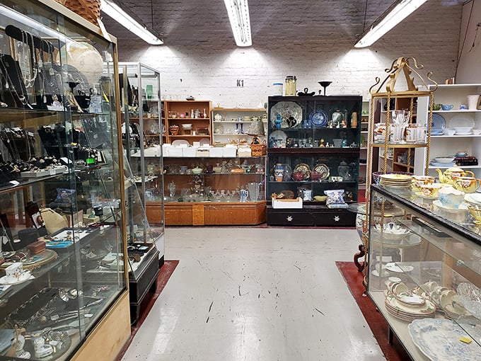 Crystal kingdoms behind glass—where your grandmother's china pattern might be hiding alongside tomorrow's conversation-starting centerpiece.