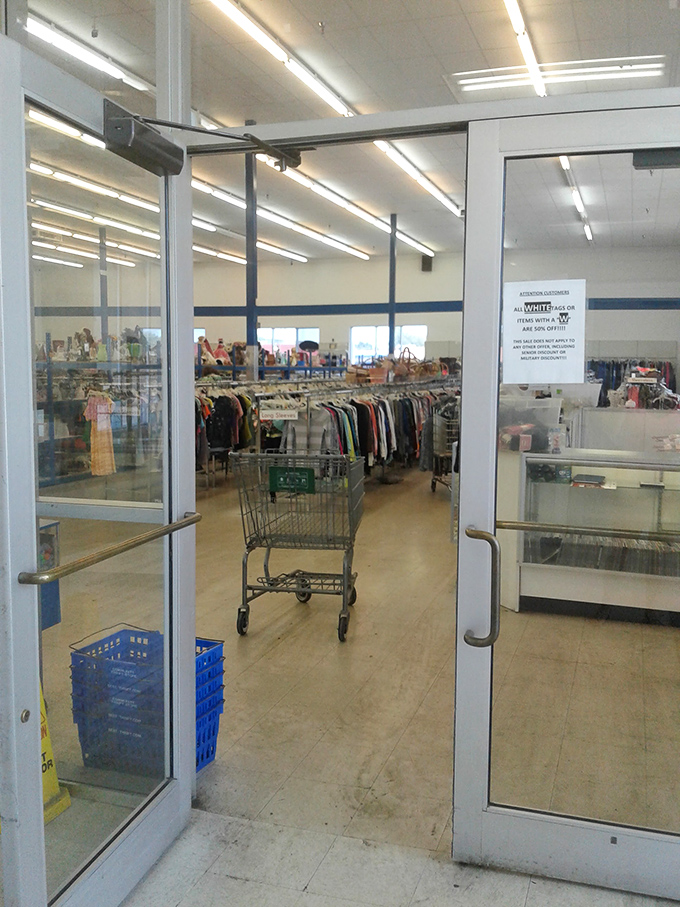 The entrance to wonderland, where shopping carts stand ready for filling. That empty cart won't stay that way for long!