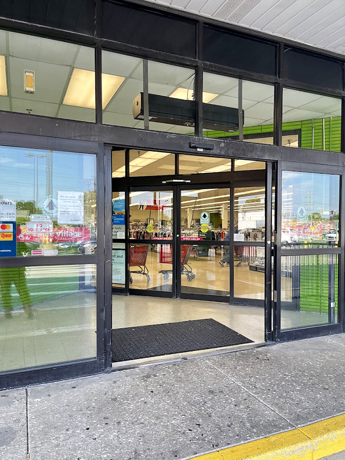 The threshold between ordinary day and extraordinary find&mdash;these sliding doors have witnessed countless shoppers entering with curiosity and exiting with triumph.