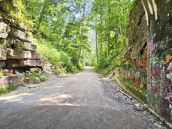 The tunnel's mouth opens to reveal a corridor of shadows and stories. Those brick walls have absorbed over a century of whispers, shouts, and possibly otherworldly conversations.